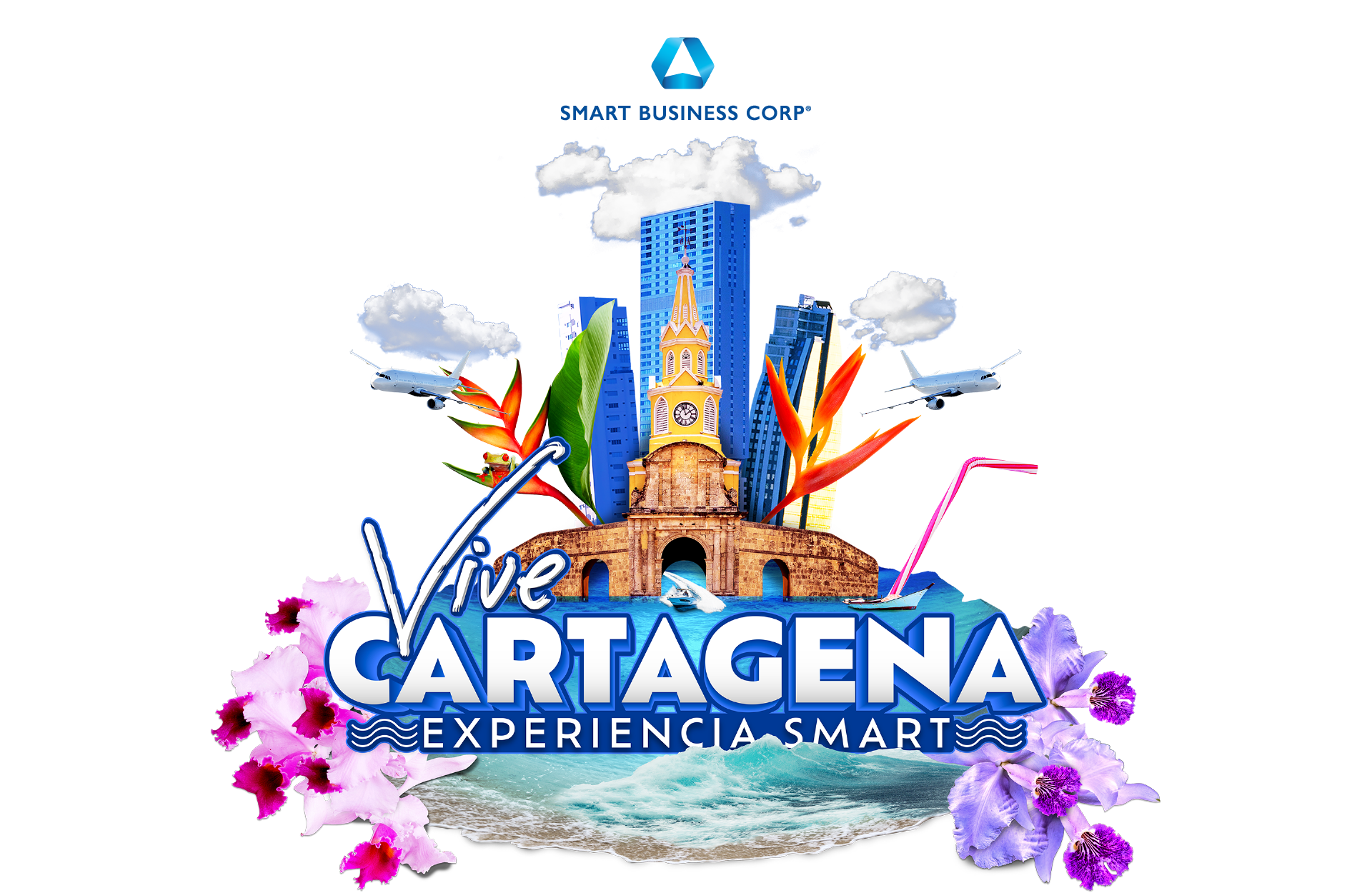 Smart+ Basics | Comienza el camino